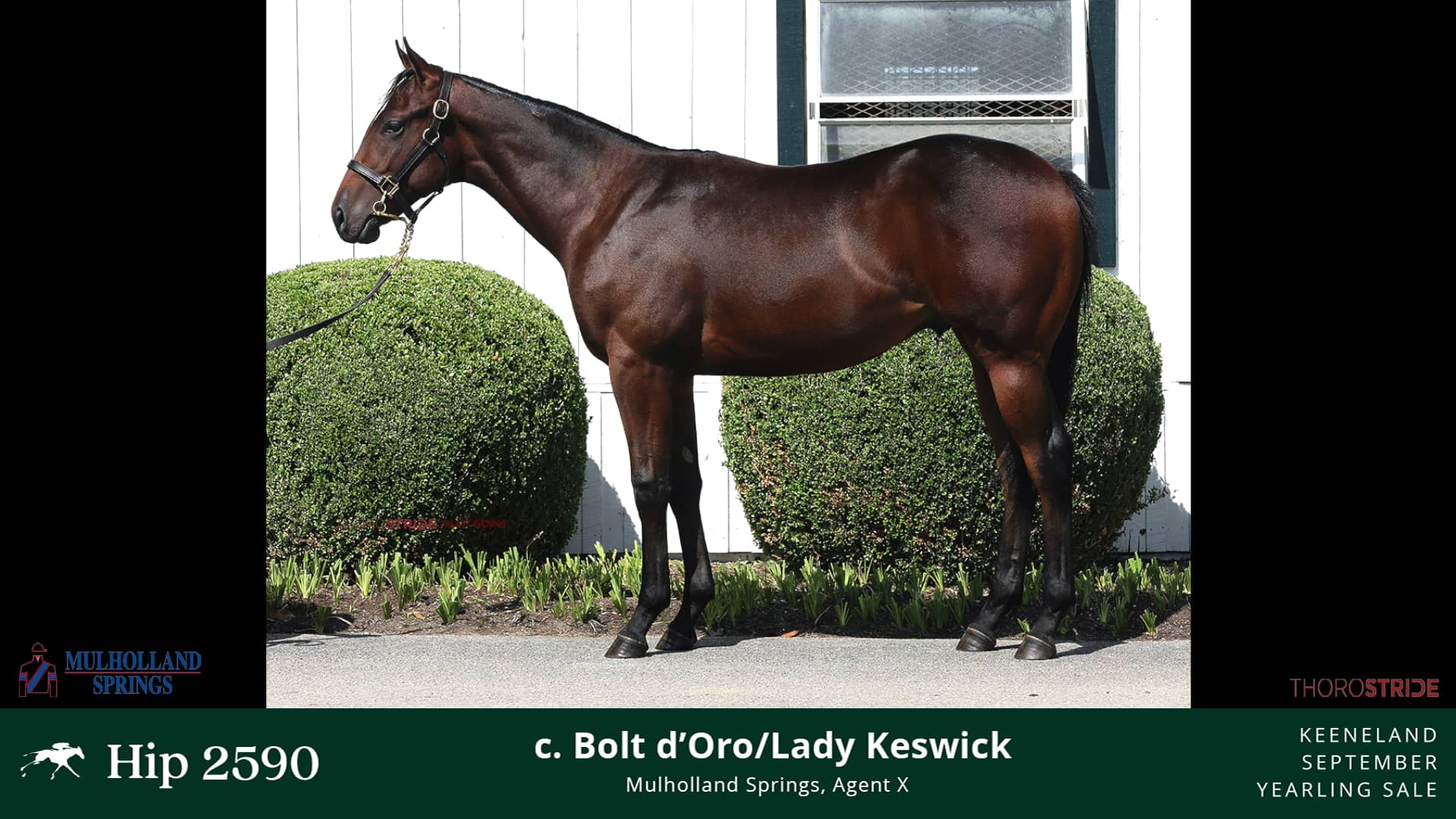 KEESEP23_2590_Lady Keswick 22 on Vimeo