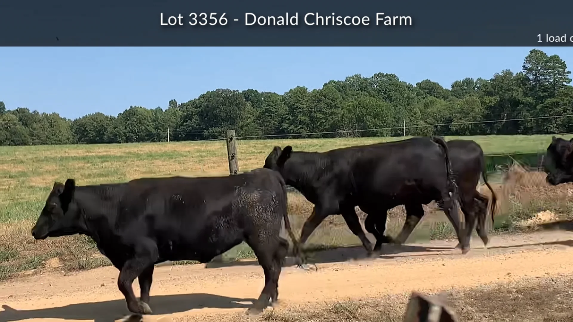3356-Donald Chriscoe Farm