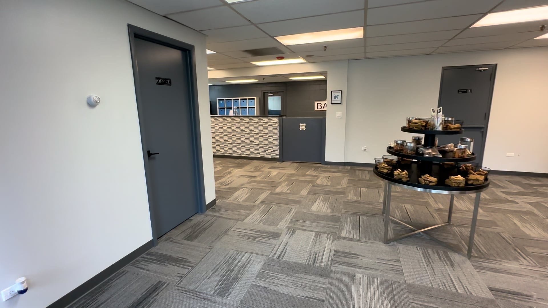 Dog Boarding, Dog Sitting |Bark BLVD