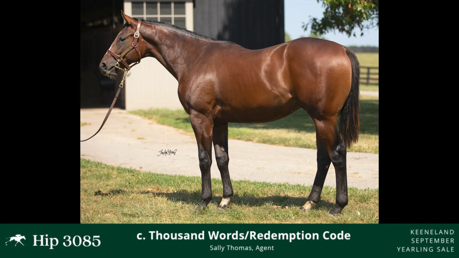 KEESEP23 3085 Redemption Code 22 on Vimeo