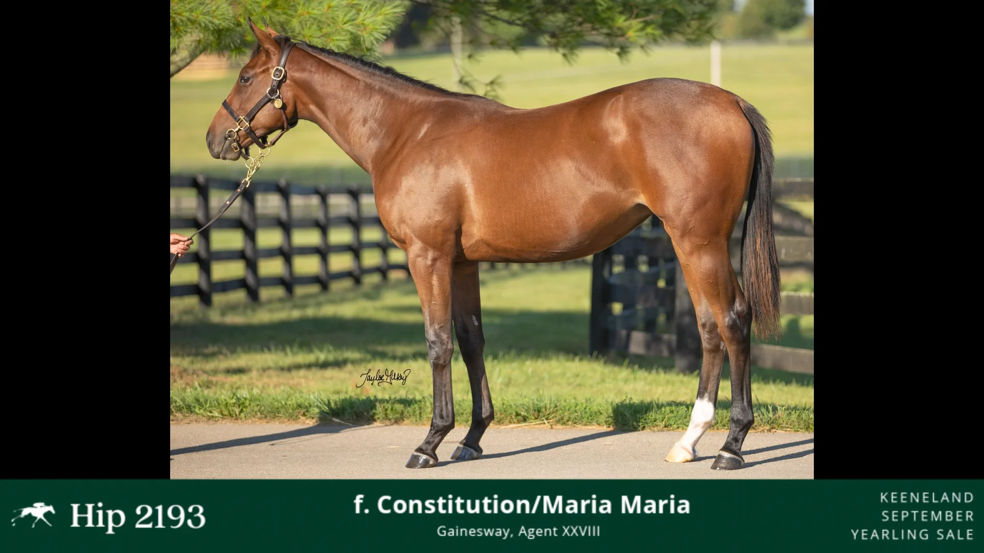 KEESEP23 2193 Maria Maria 22 on Vimeo