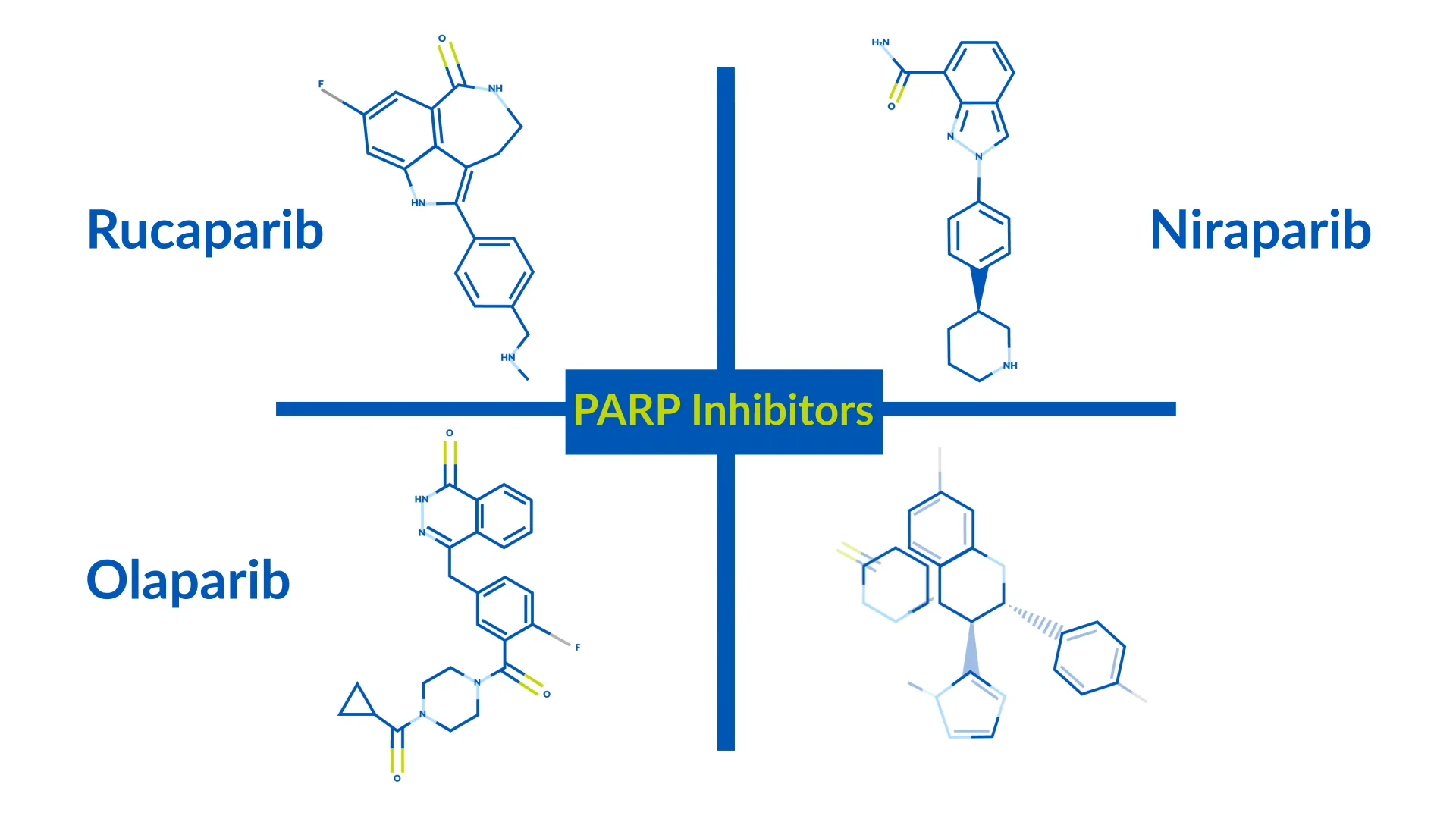 Which different PARP inhibitors are available on Vimeo
