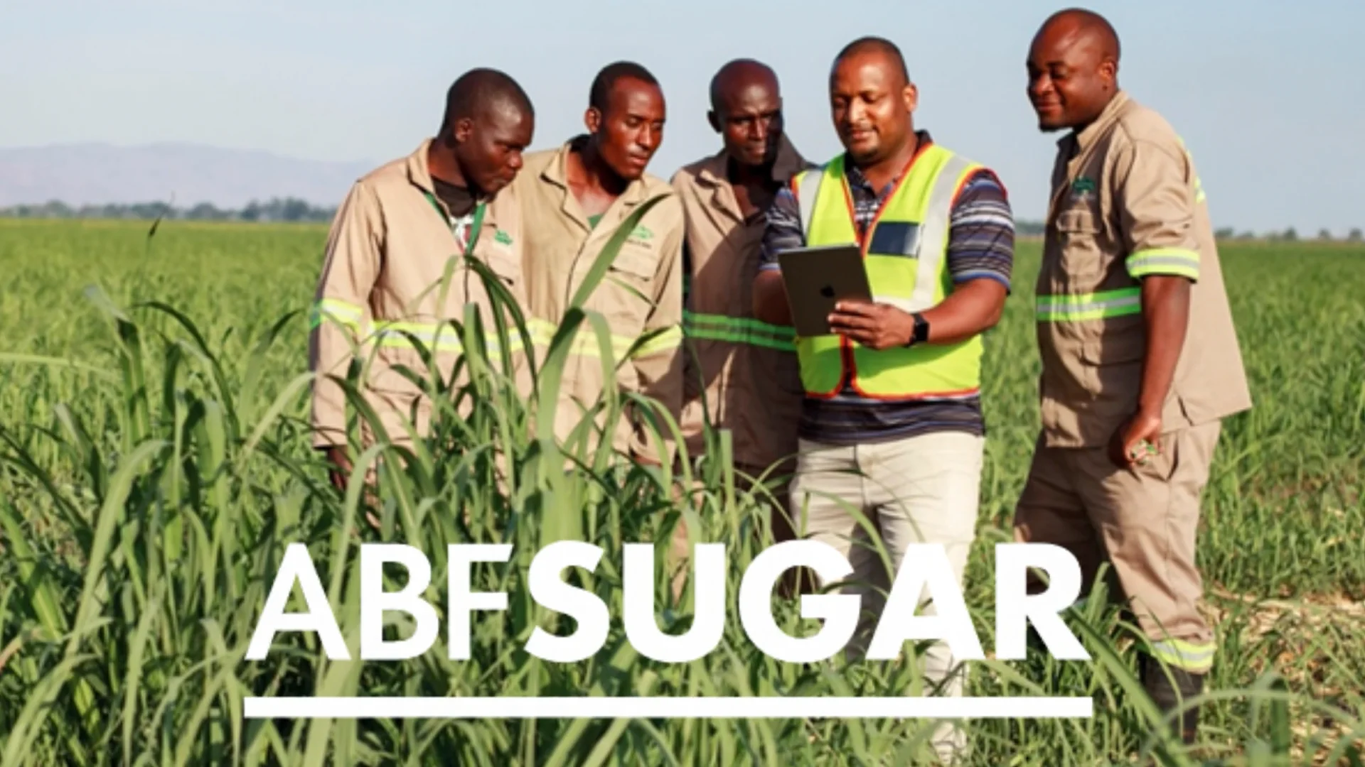 01. ABF Sugar Safety Journey Video Final on Vimeo