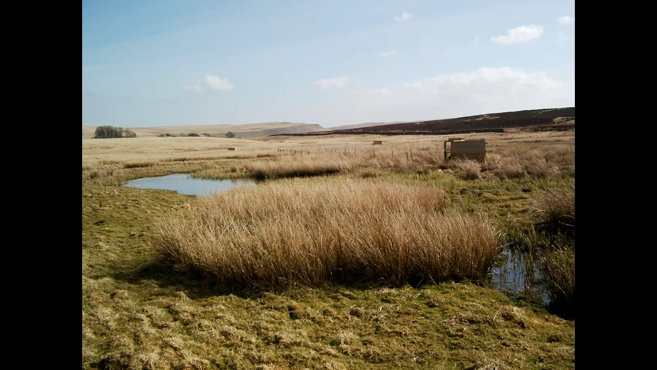Sir Martin Holdgate Sunbiggin Tarn