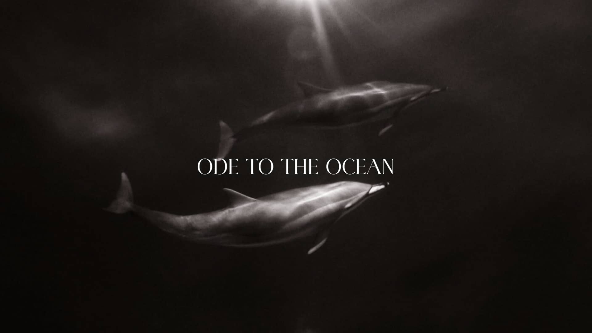 Ode to the Ocean on Vimeo