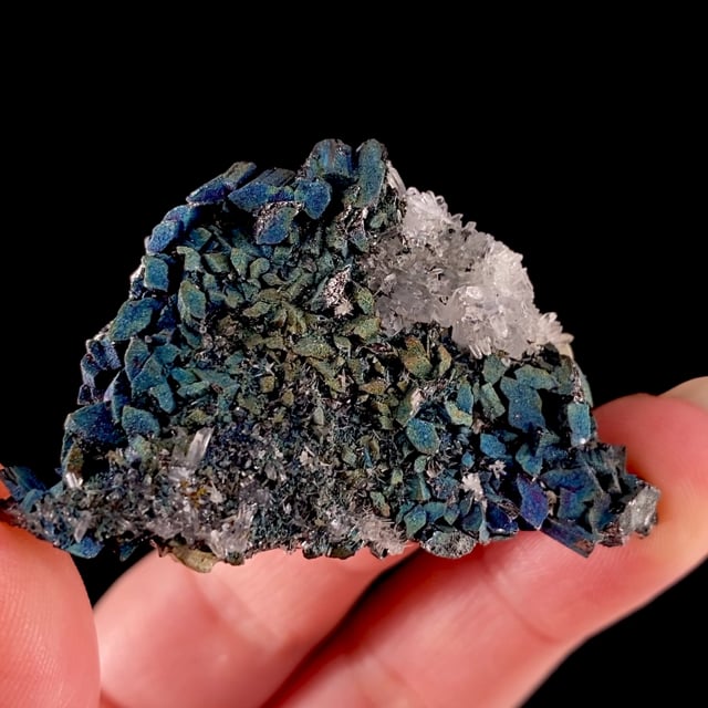 Enargite with iridescent Chalcopyrite coating | Anselmo Mine, Butte ...