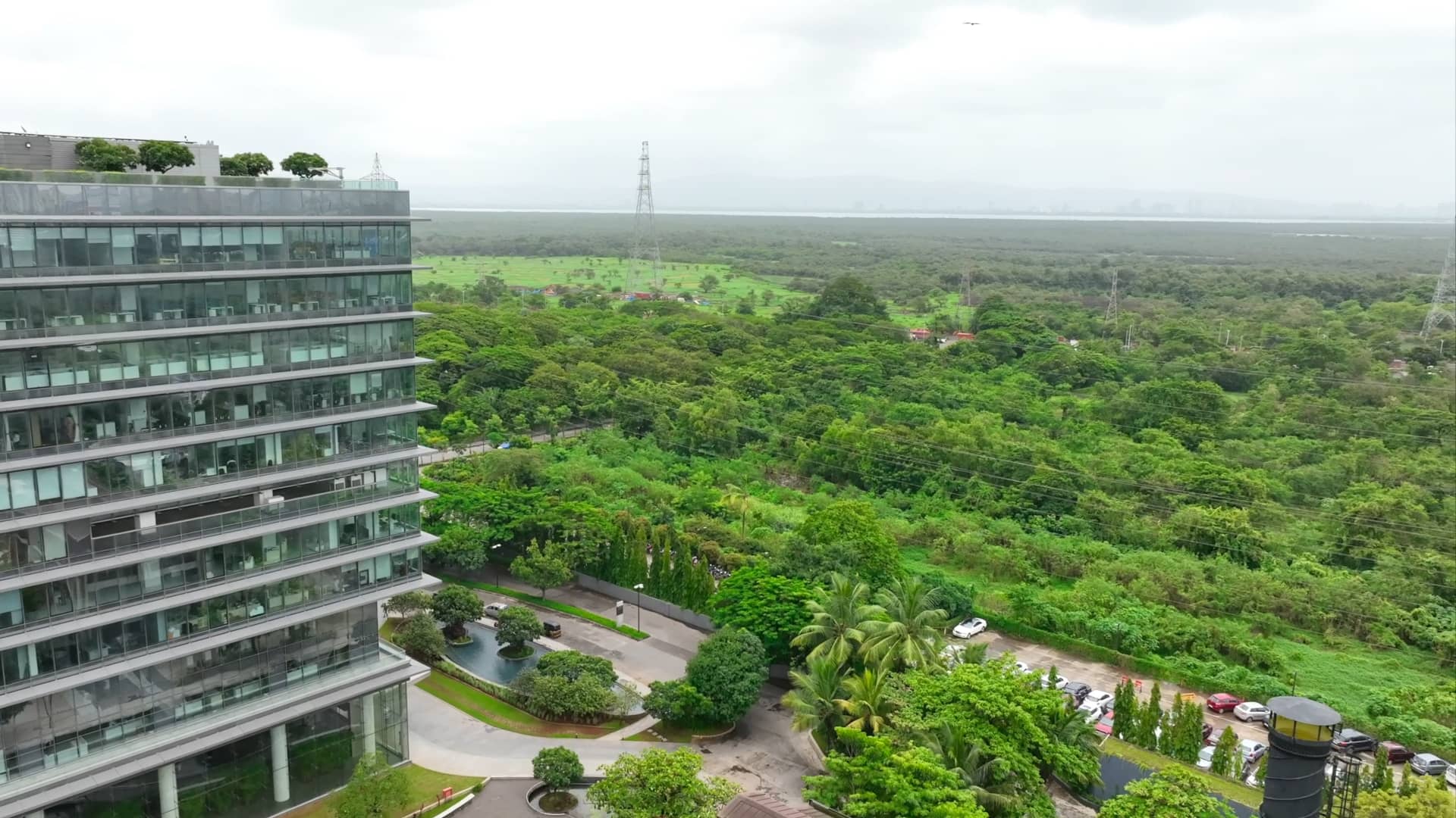 Construction Of Taj The Trees on Vimeo