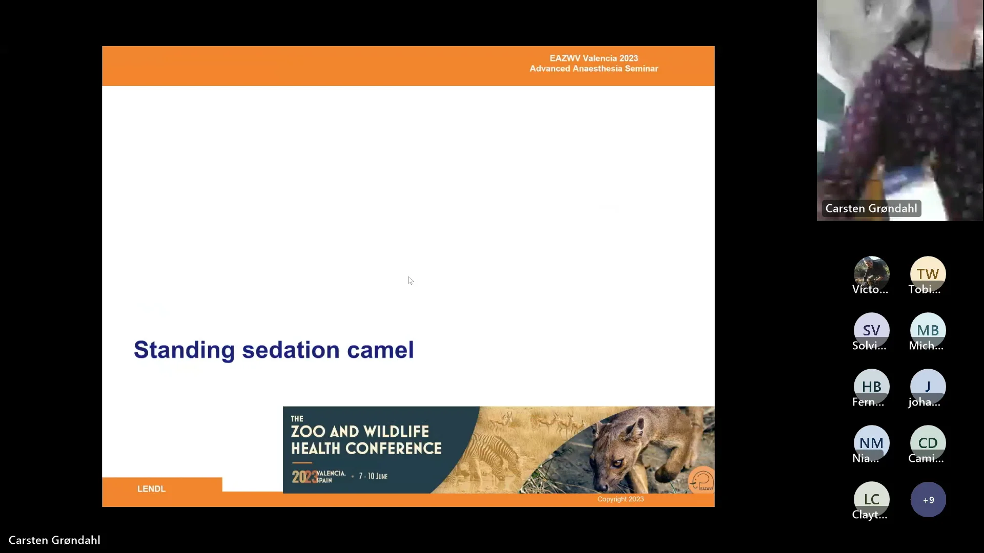 Advanced_Anaesthesia_2023_8_Christine_Lendl_Standing_Sedation_Camel on ...