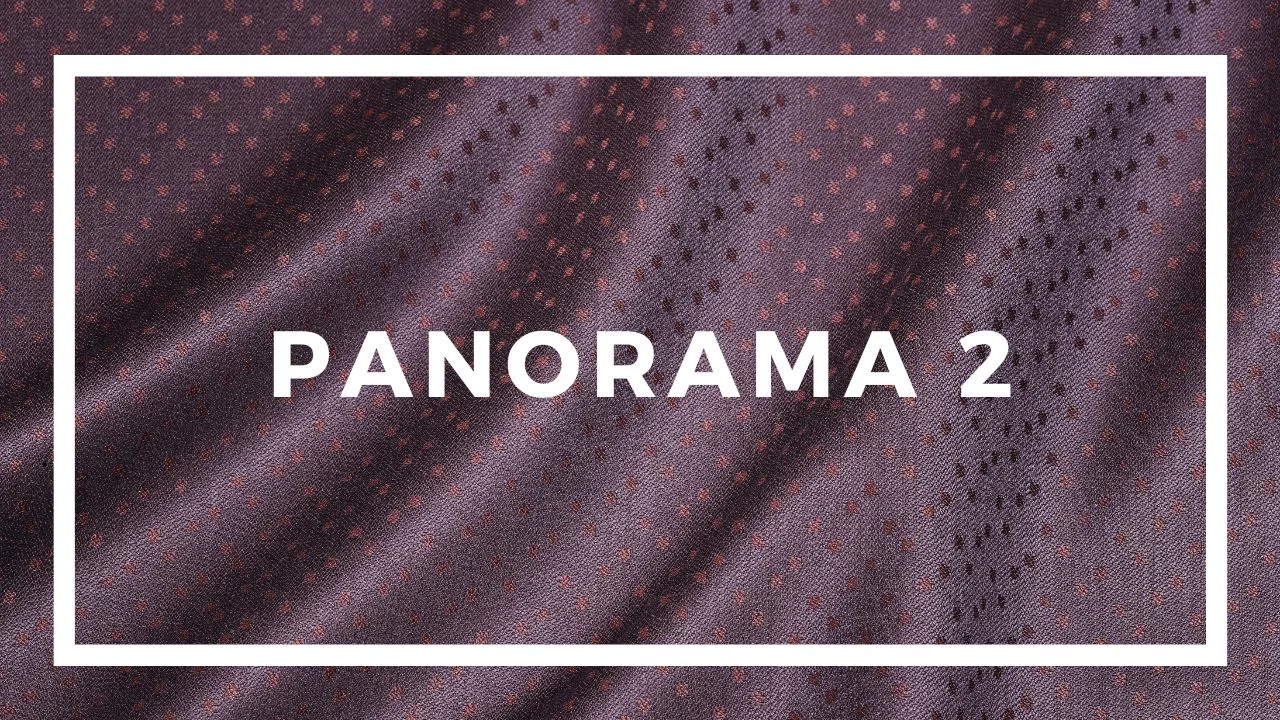 Panorama 2