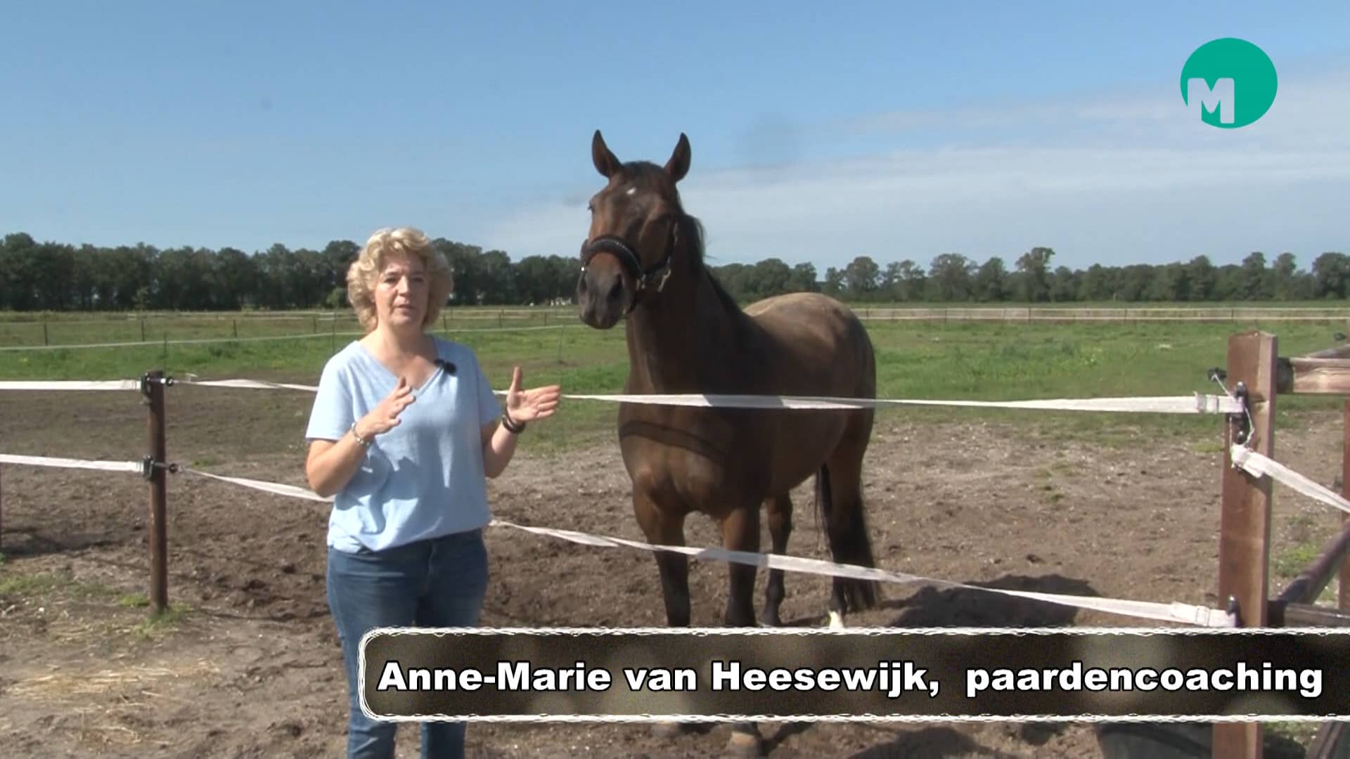 Paardencoaching met Anne-Marie van Heesewijk en London Times (1) on Vimeo