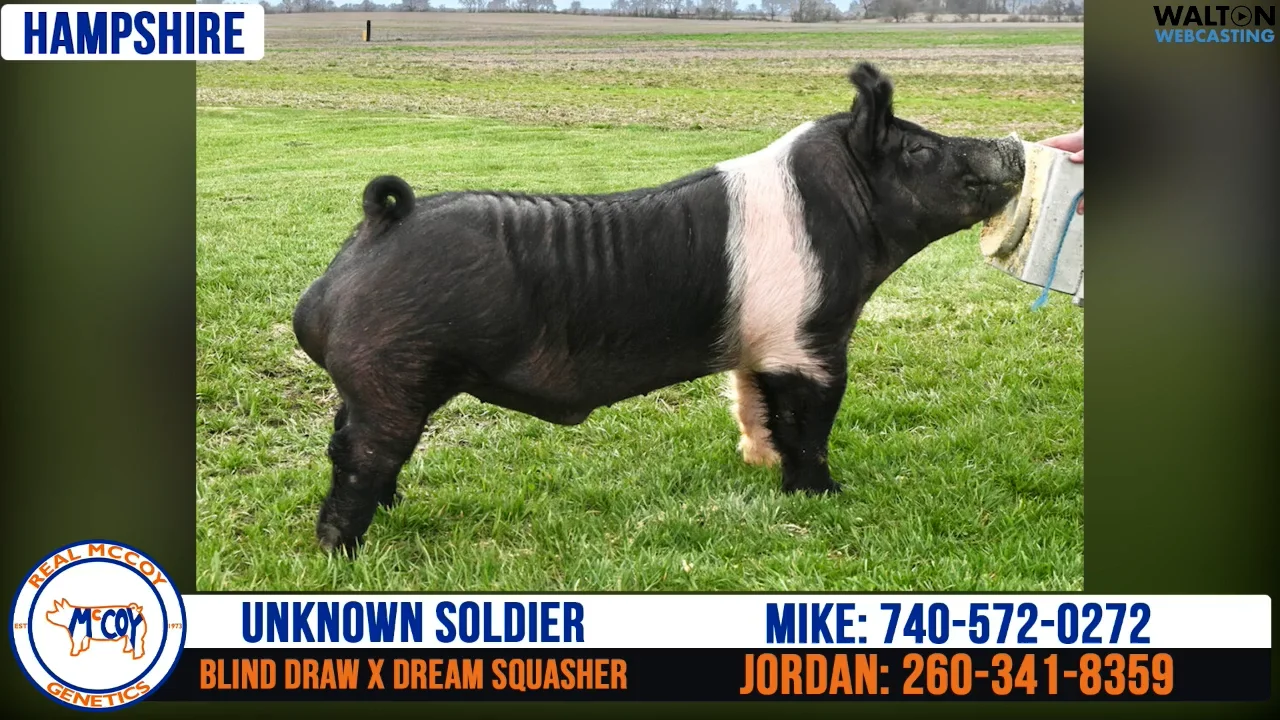 Vimeo TEst Video 3 on Vimeo