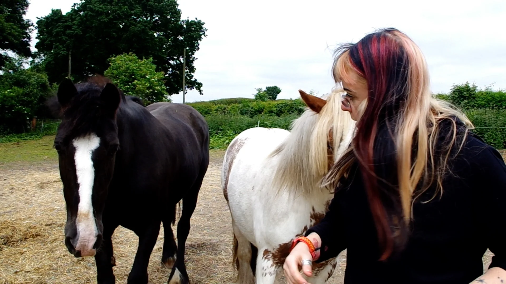 Angela Bartram - Reading Horse Theory to a Horse, video, 2023 on Vimeo