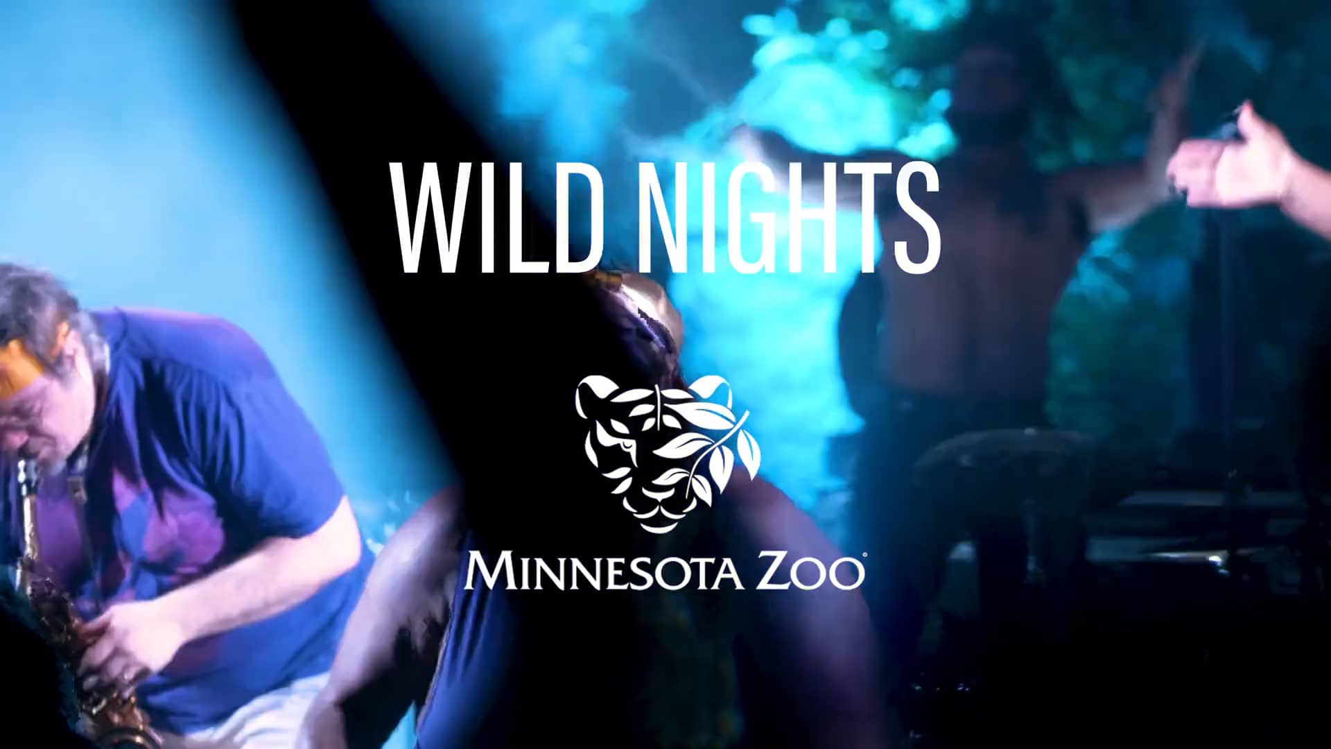 Wild Nights at the Minnesota Zoo on Vimeo