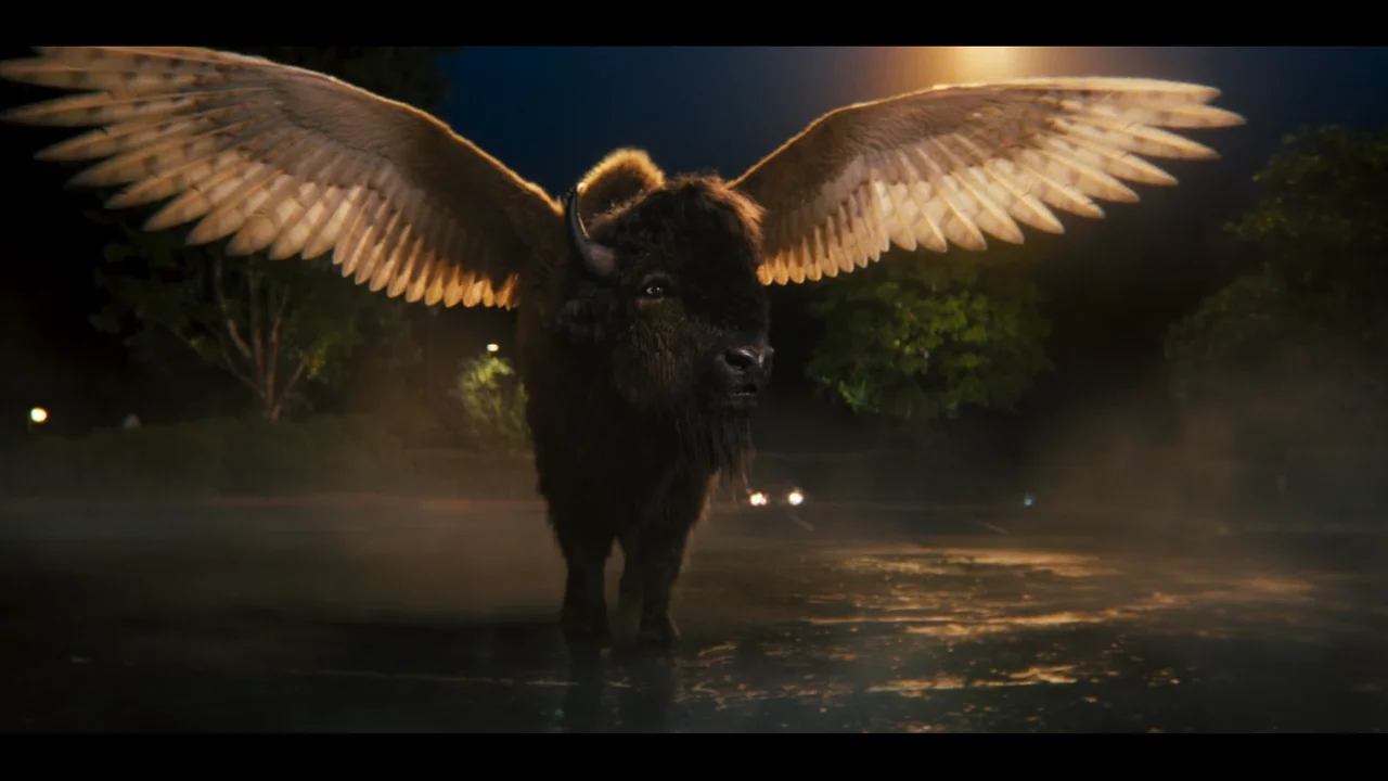 Buffalo Wild Wings - Hank Launch 60