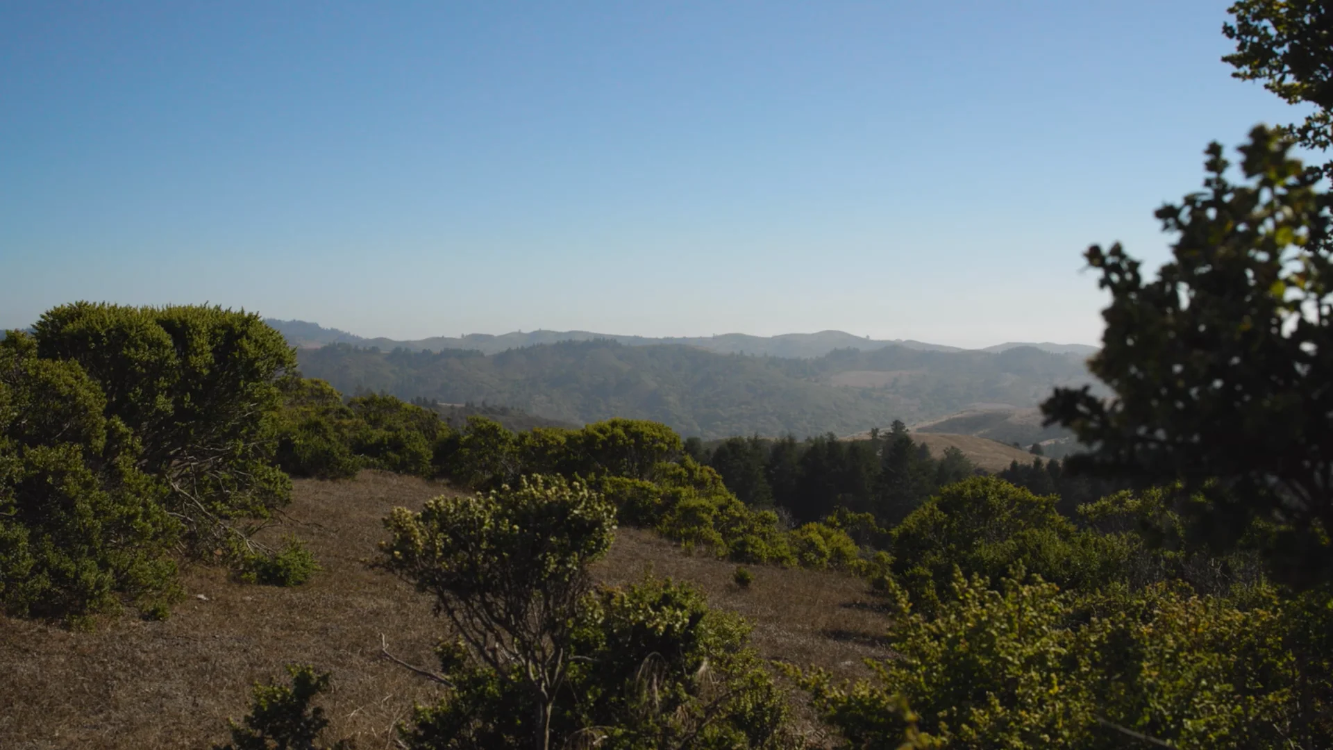 1900 Bear Gulch, San Gregorio, CA on Vimeo