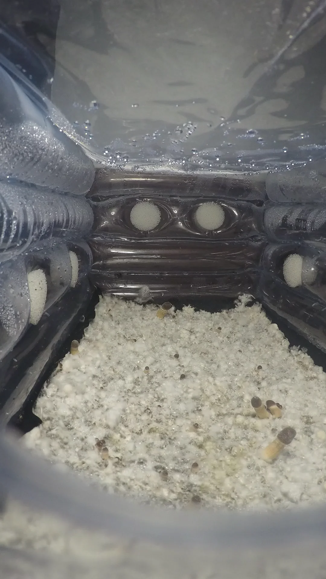 BAS FMP insta on Vimeo