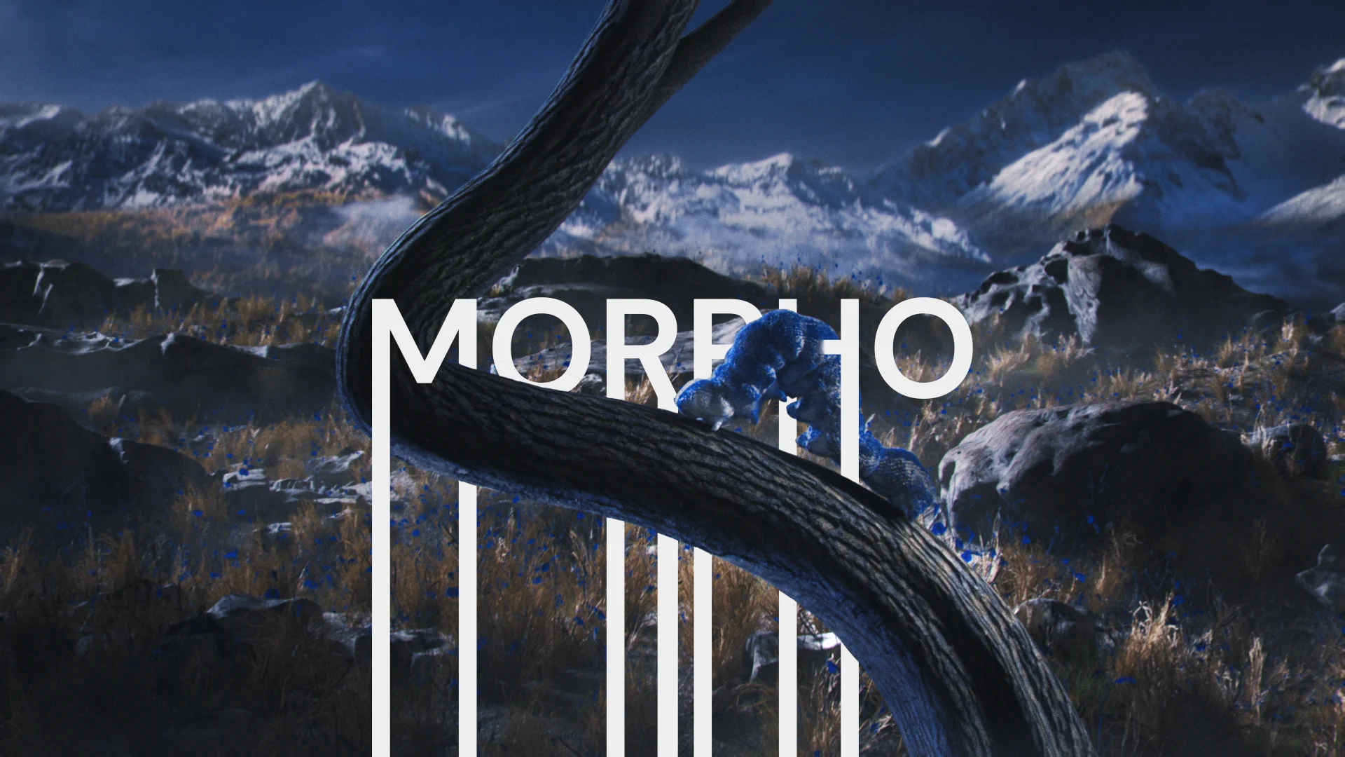 Morpho project. on Vimeo