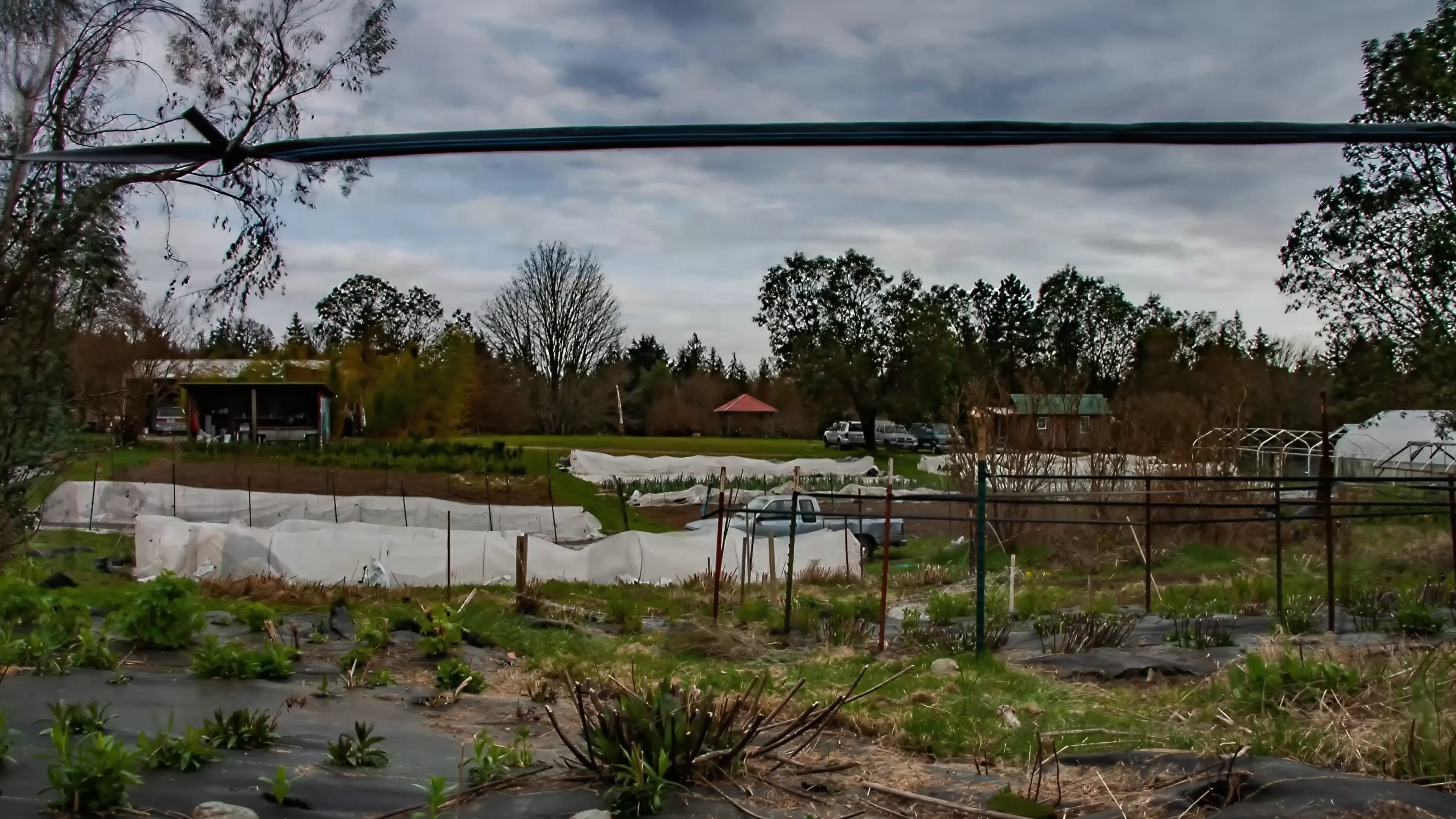 persephone farm summer 2023 on Vimeo