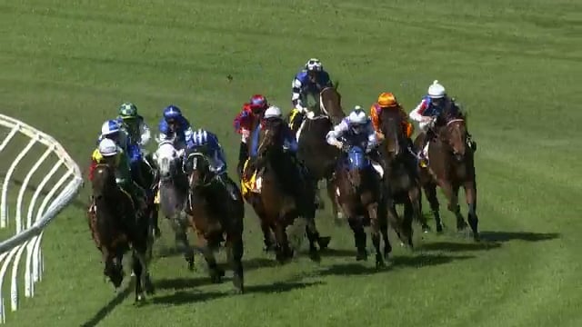 Flying Artie - Stallion | Breednet