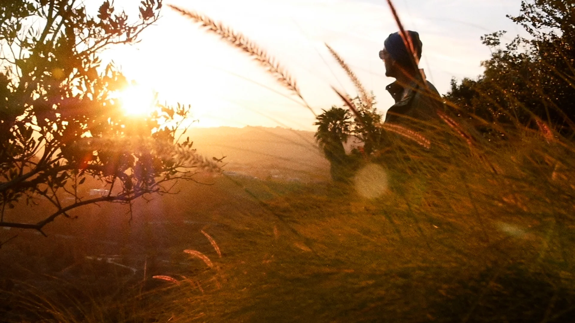 Steven Cornfield Director Reel 2023 on Vimeo