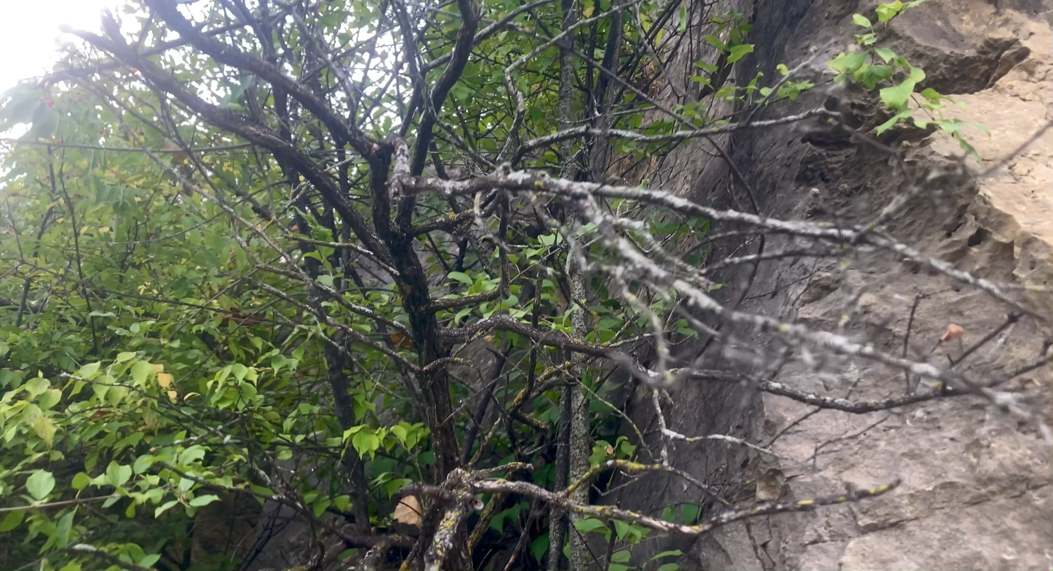 Project 1 - The Single Shot Film on Vimeo