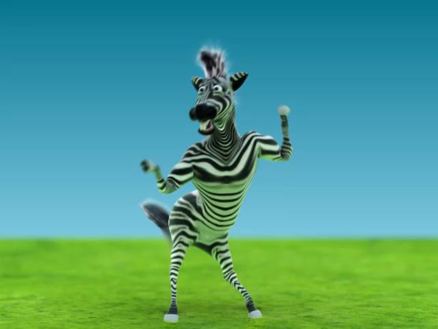 dancing zebra on Vimeo