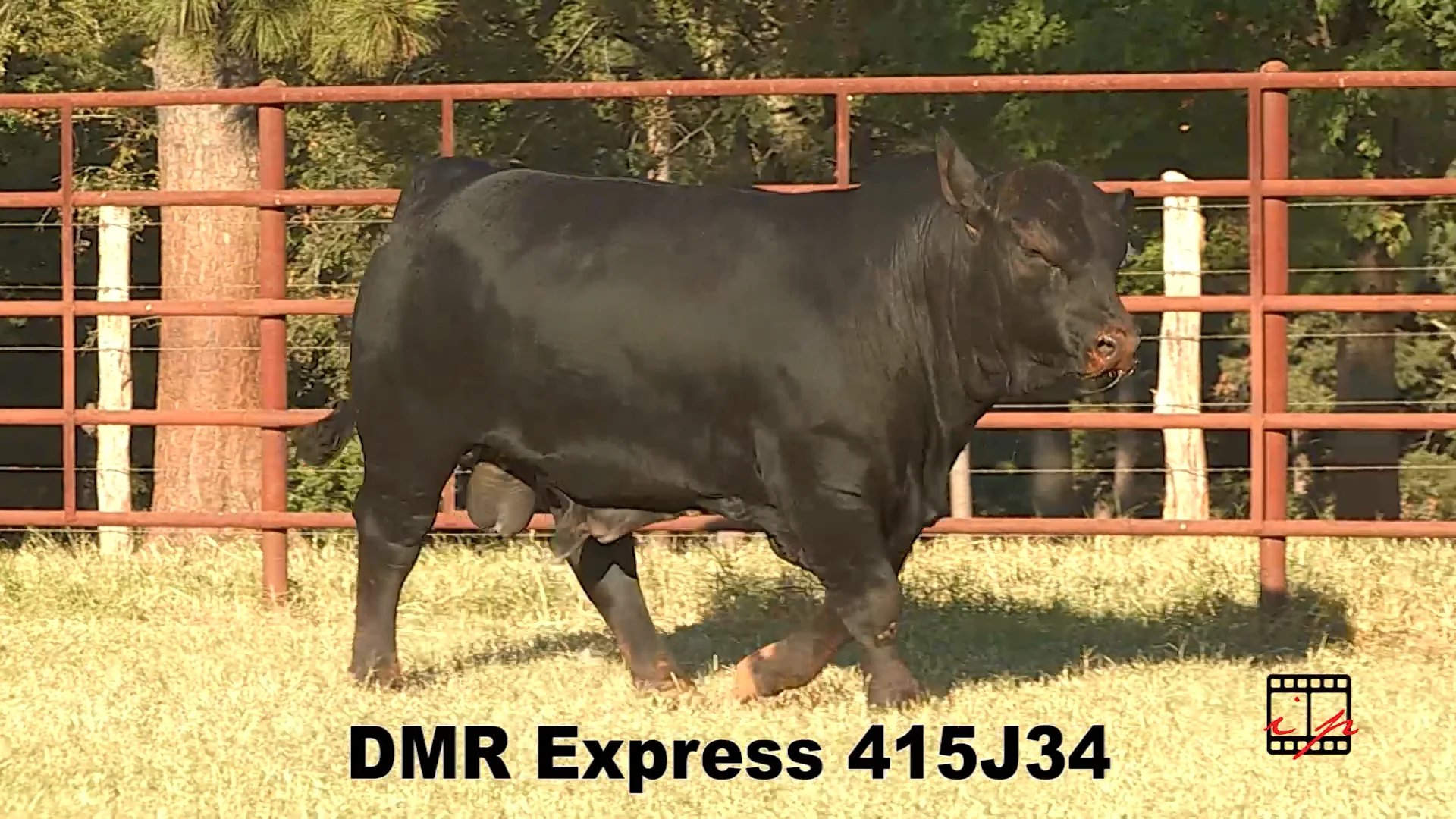 DMR Express 415J34.mp4