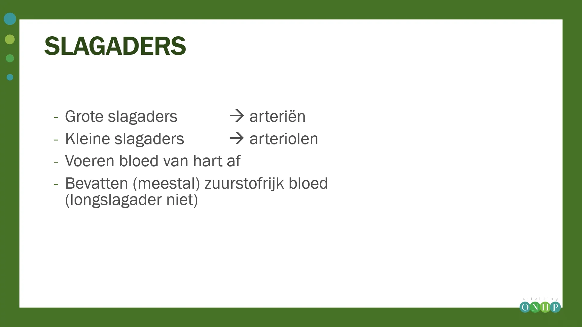 6.4 Bloed Slagaders en Aders on Vimeo