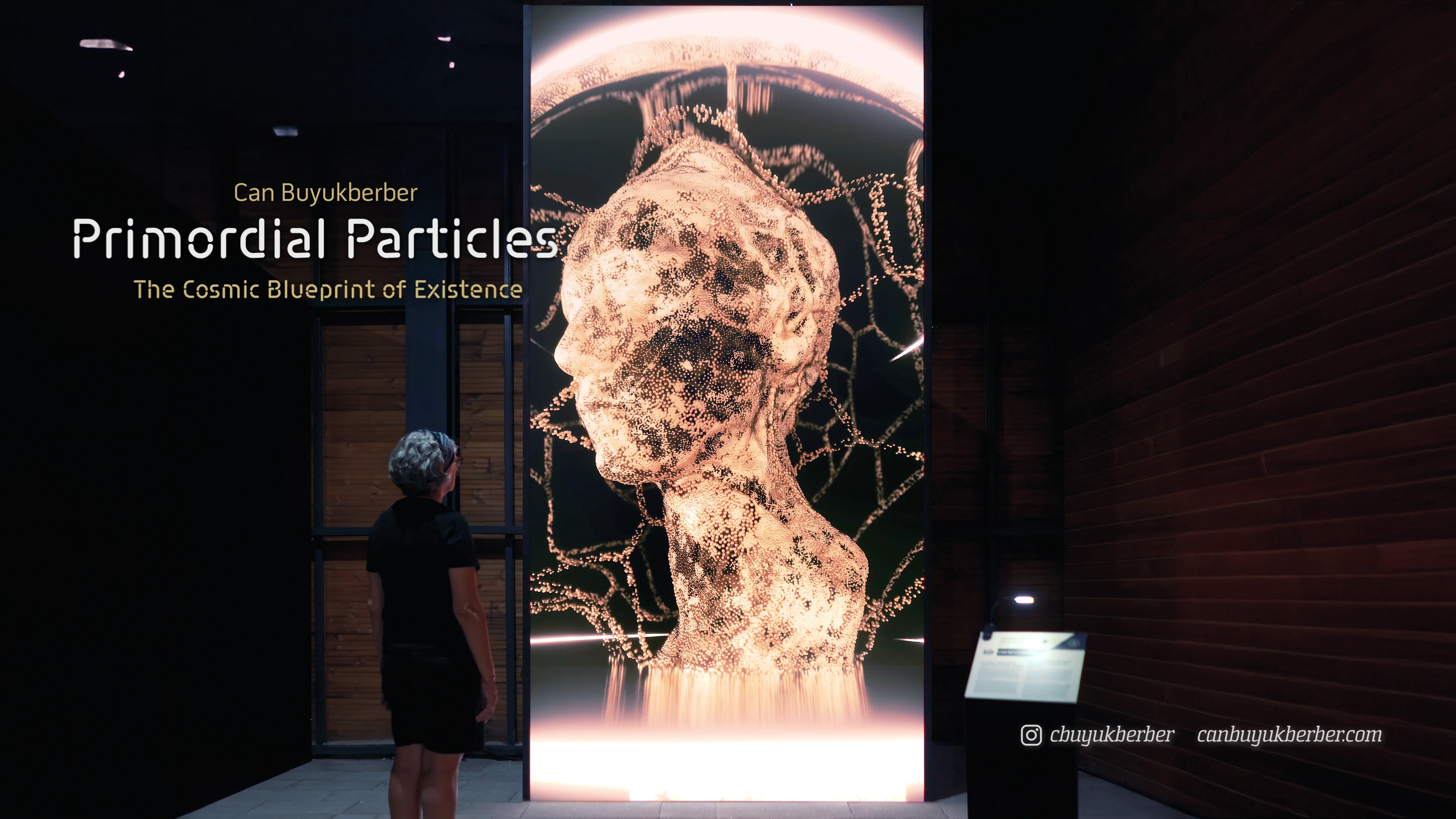 Primordial Particles: The Cosmic Blueprint of Existence on Vimeo