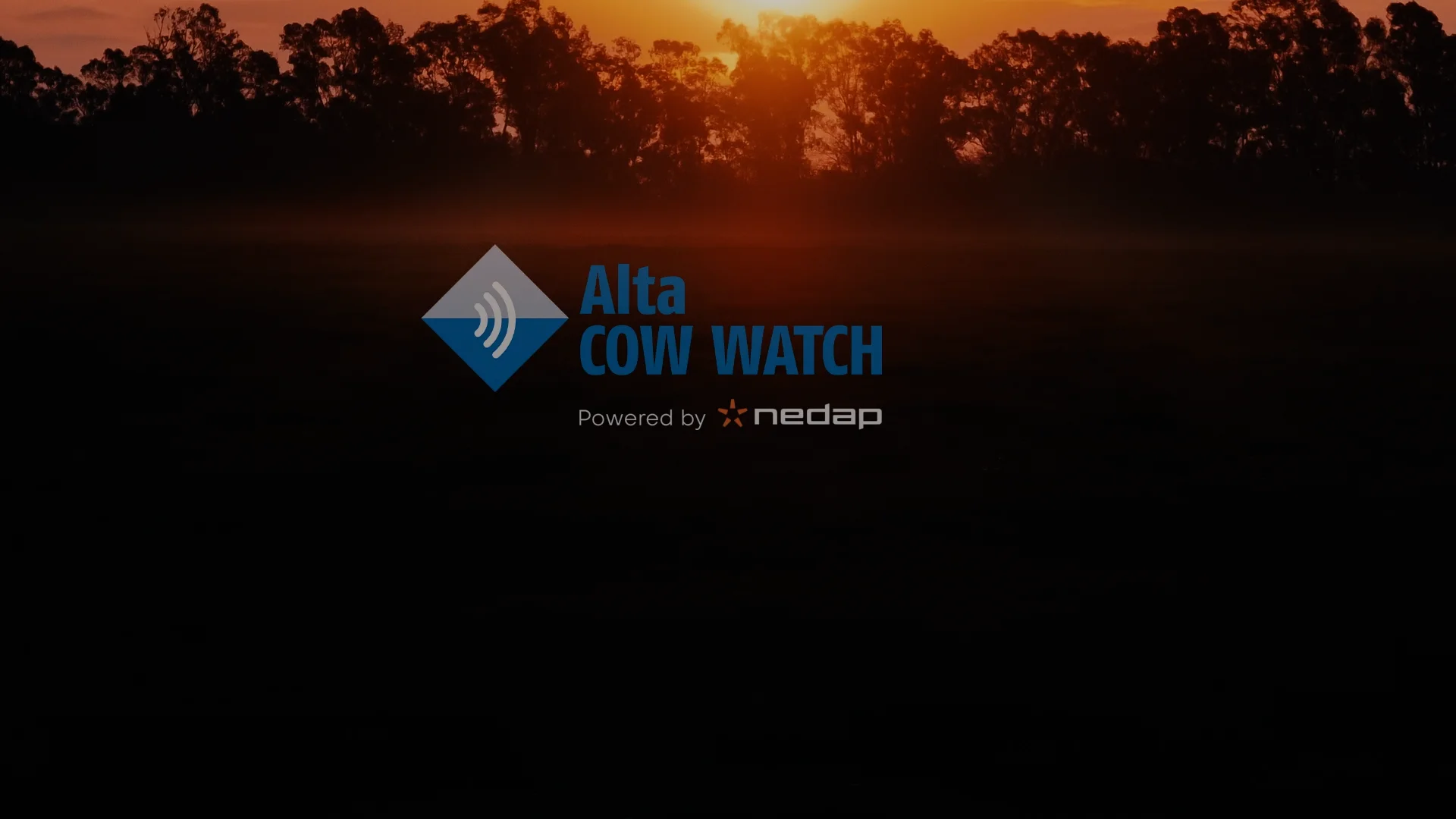 Alta COW WATCH | Las Chicas, Argentina (Spanish) on Vimeo