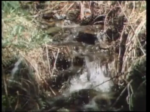 Sesame street 2015 on Vimeo