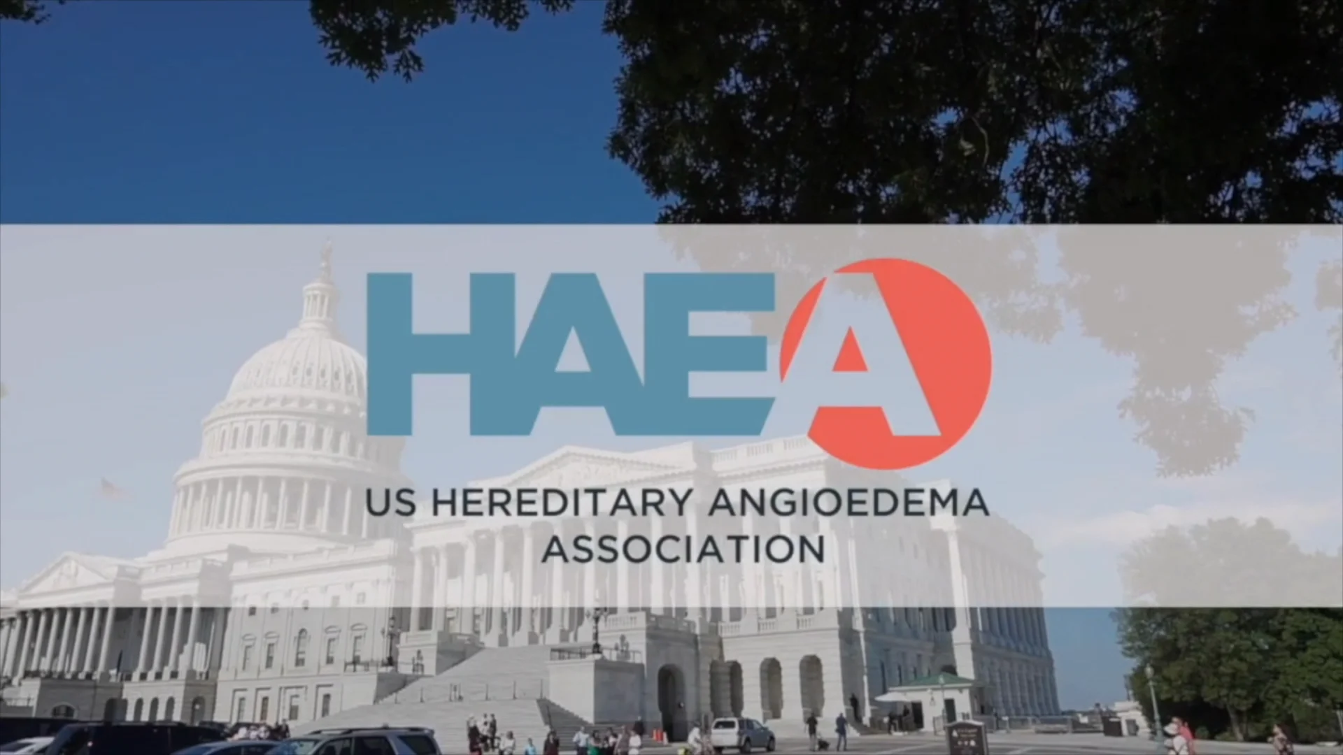 2023 HAEA Virtual Capitol Hill Campaign on Vimeo