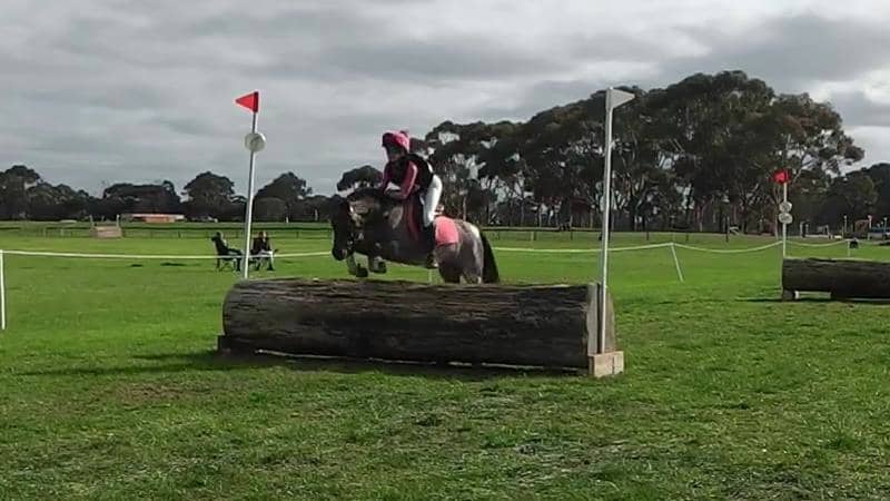 Georgia Joyce riding Carisma Park Rose 408 EvA80 Friends of Werribee ...