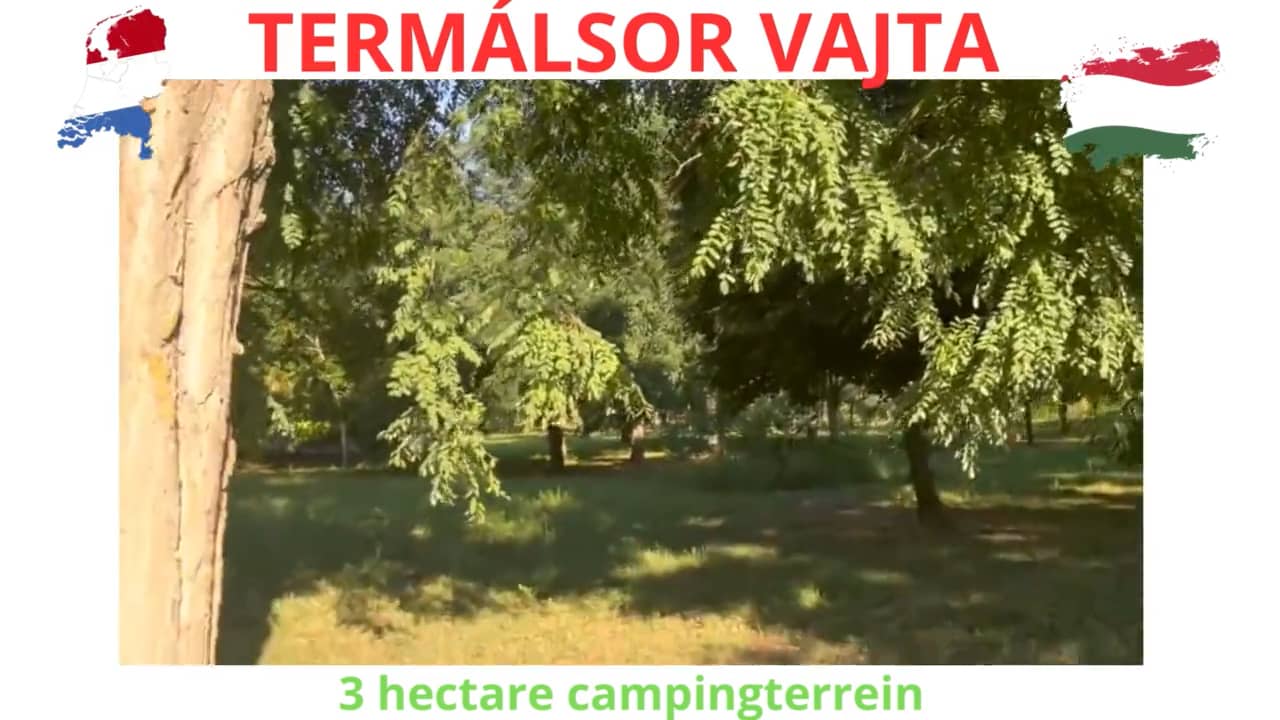 TERMÁLSOR VAJTA on Vimeo