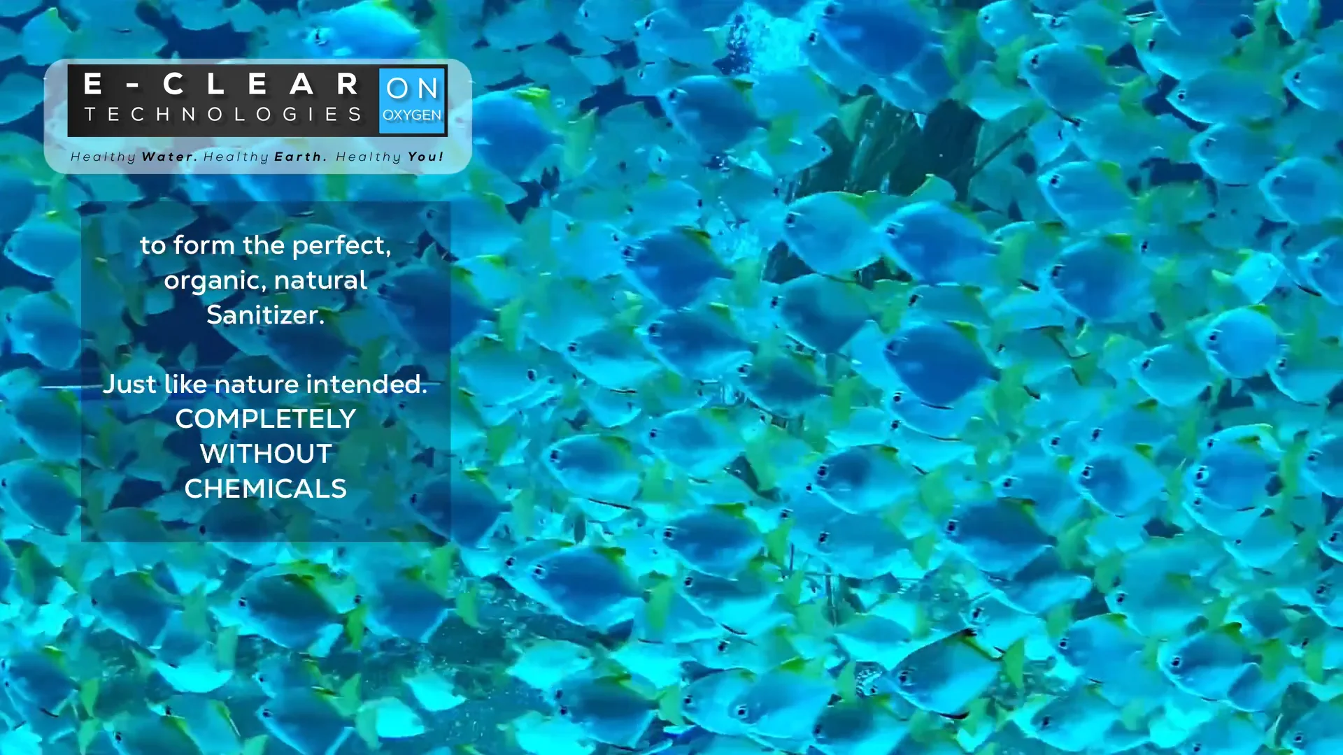 Explainer video 2024 on Vimeo