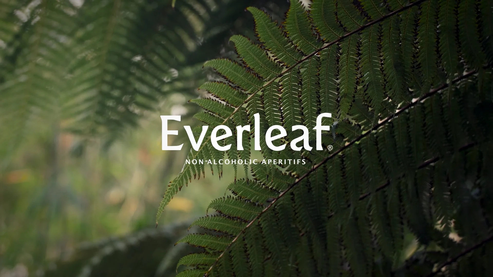 Everleaf in the on trade on Vimeo