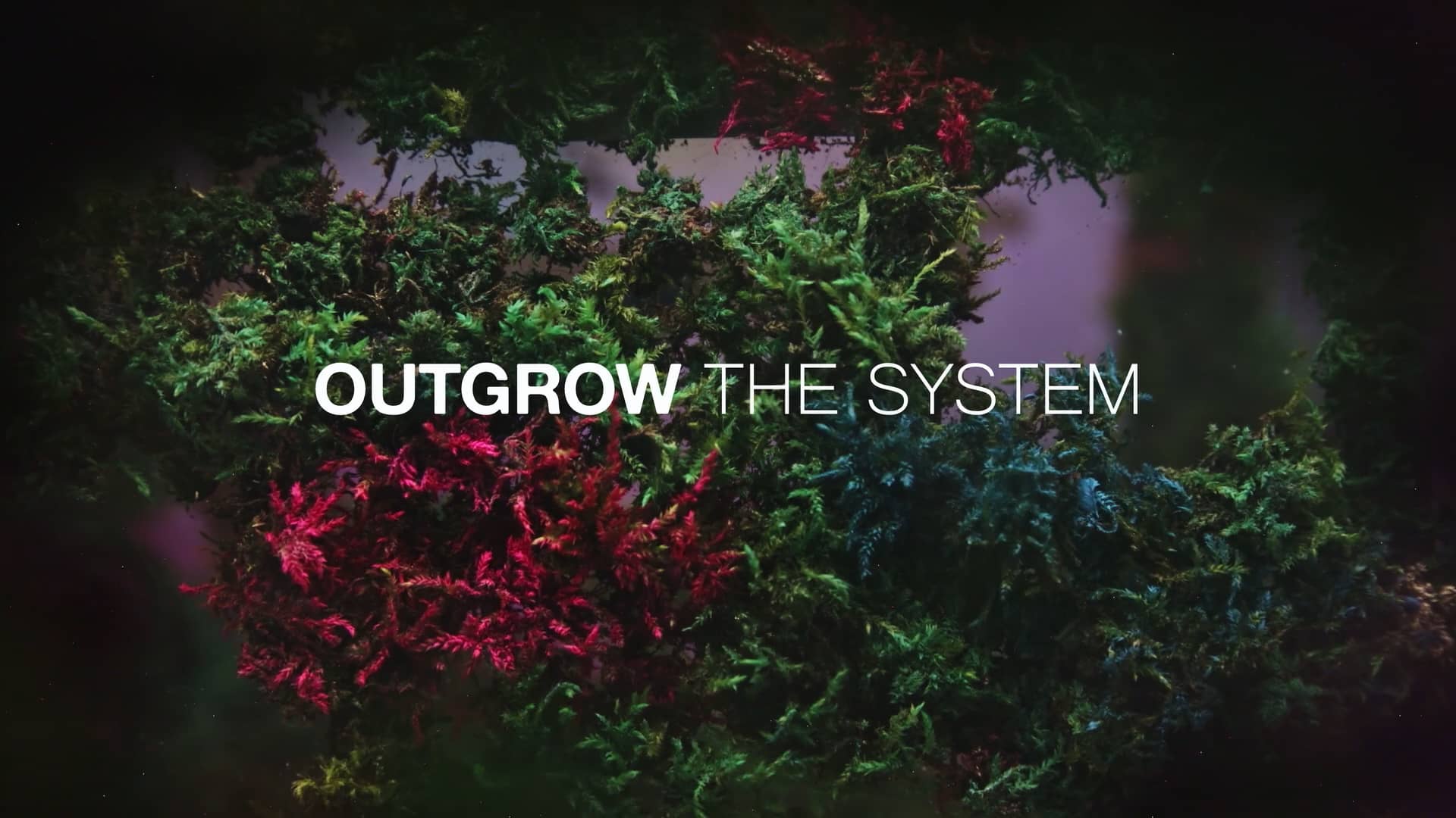 Trailer: Outgrow the System (longer version) on Vimeo