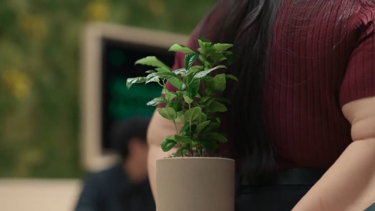 2030 Status _ Mother Nature _ Apple on Vimeo