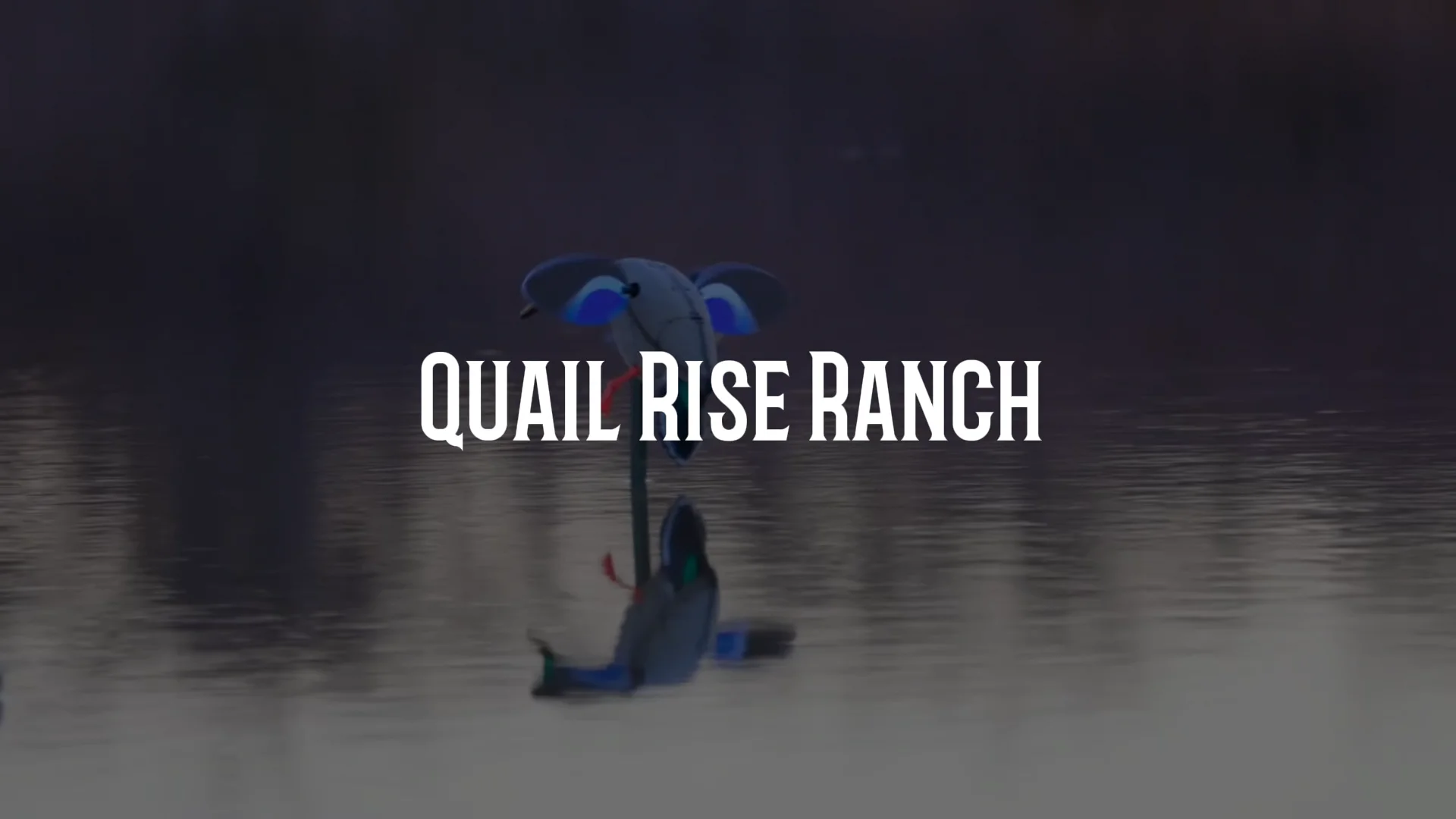 TT Ranch Group Quail Rise Ranch on Vimeo