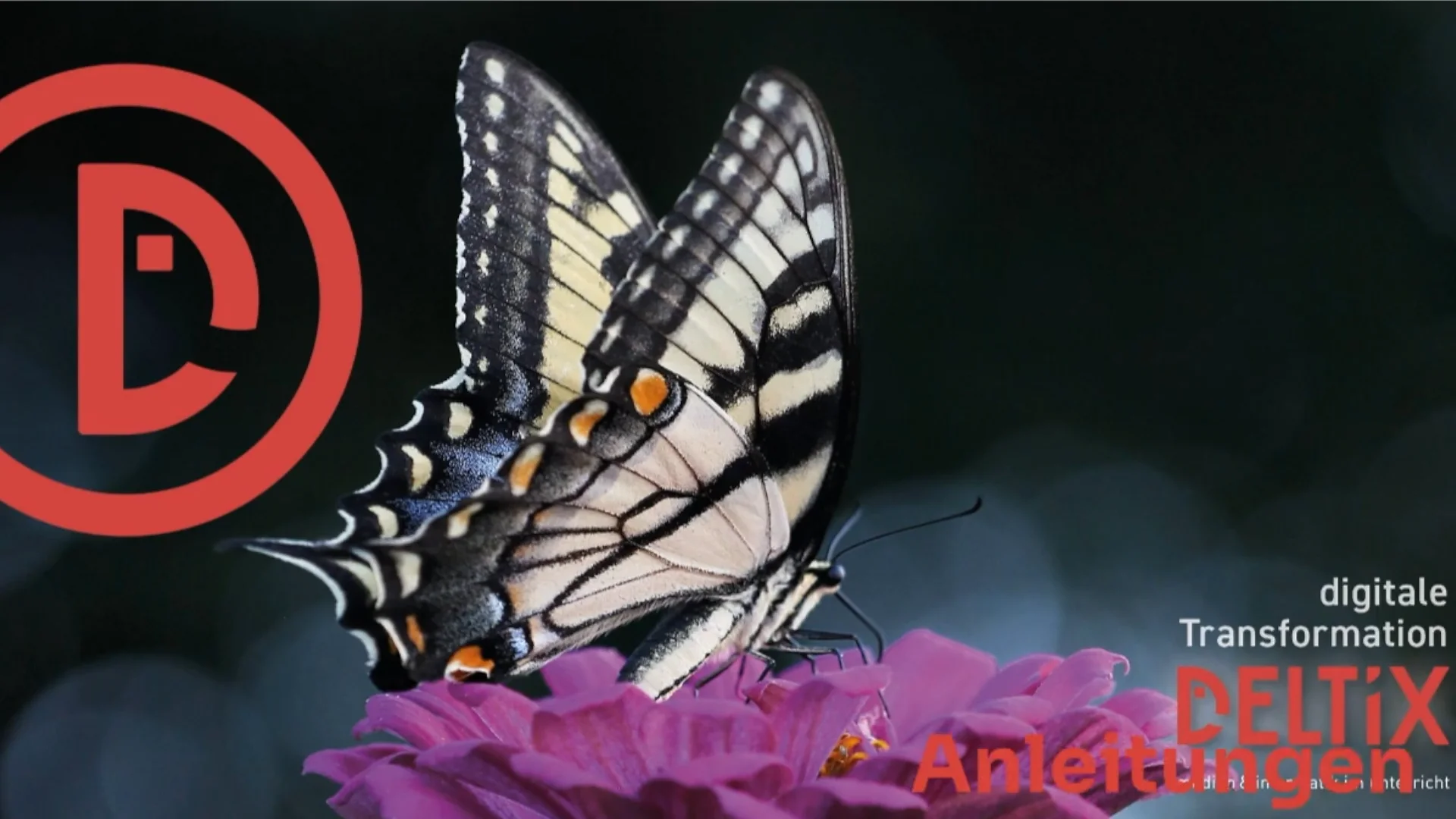 anleitung_eWolke auf iPad einrichten on Vimeo