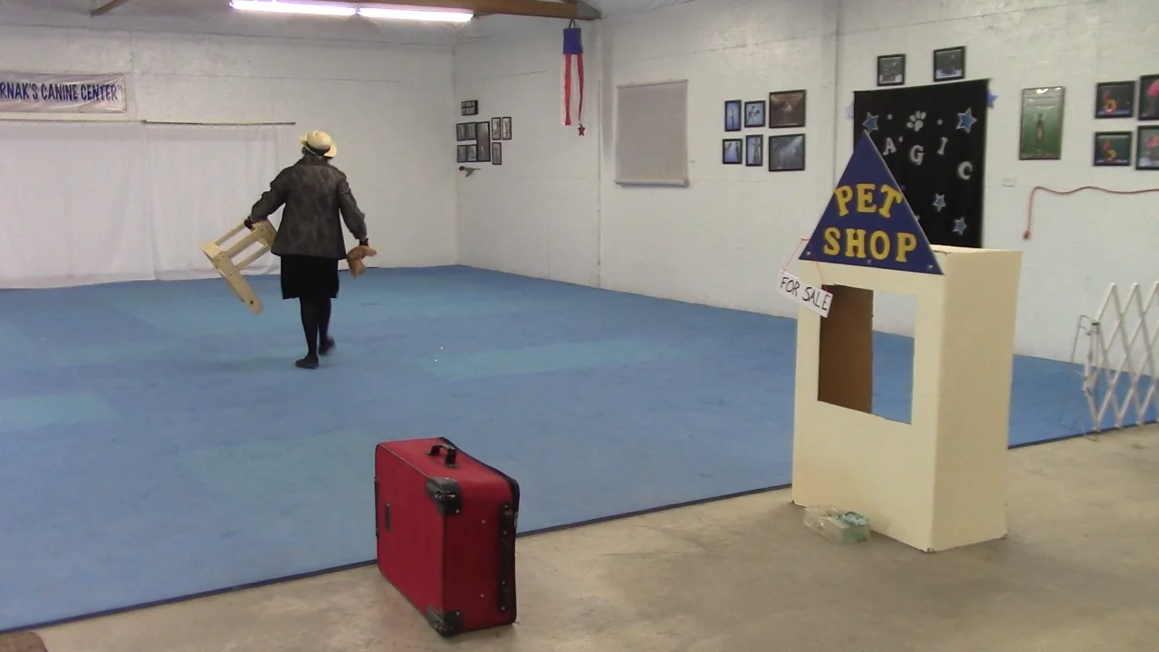 Cami MF Advanced ONE - Made with Clipchamp on Vimeo