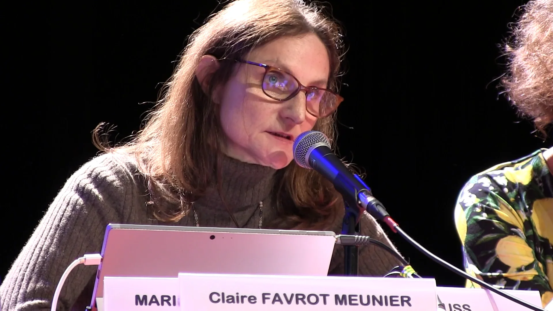 Claire FAVROT-MEUNIER "Psychopathologie des troubles des afférences ...