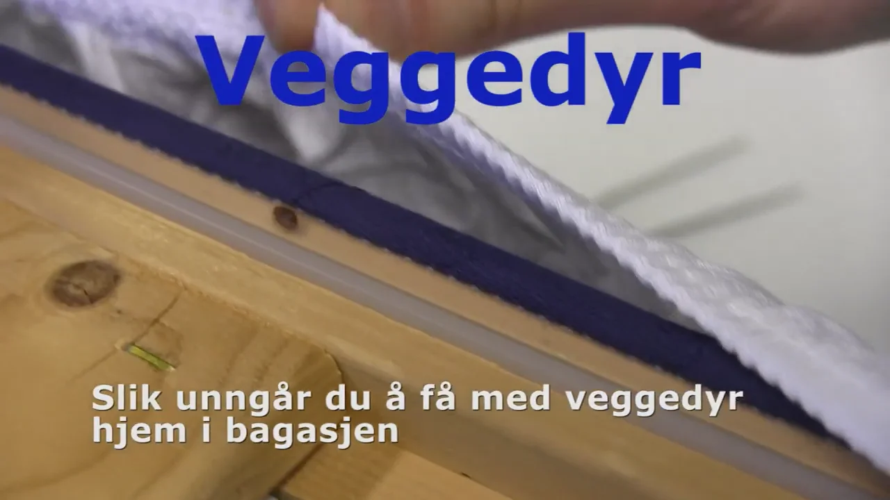 Slik unngår du å få med veggedyr hjem i bagasjen fra ferie on Vimeo