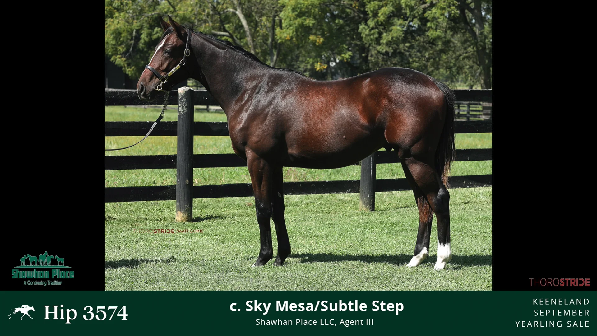 KEESEP23_3574_Subtle Step 22 on Vimeo