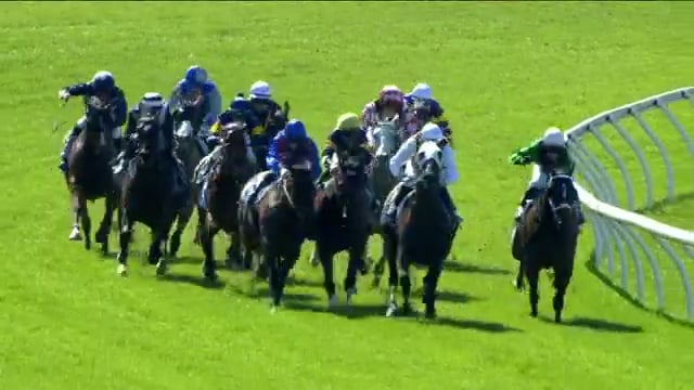 Lean Mean Machine - Stallion | Breednet