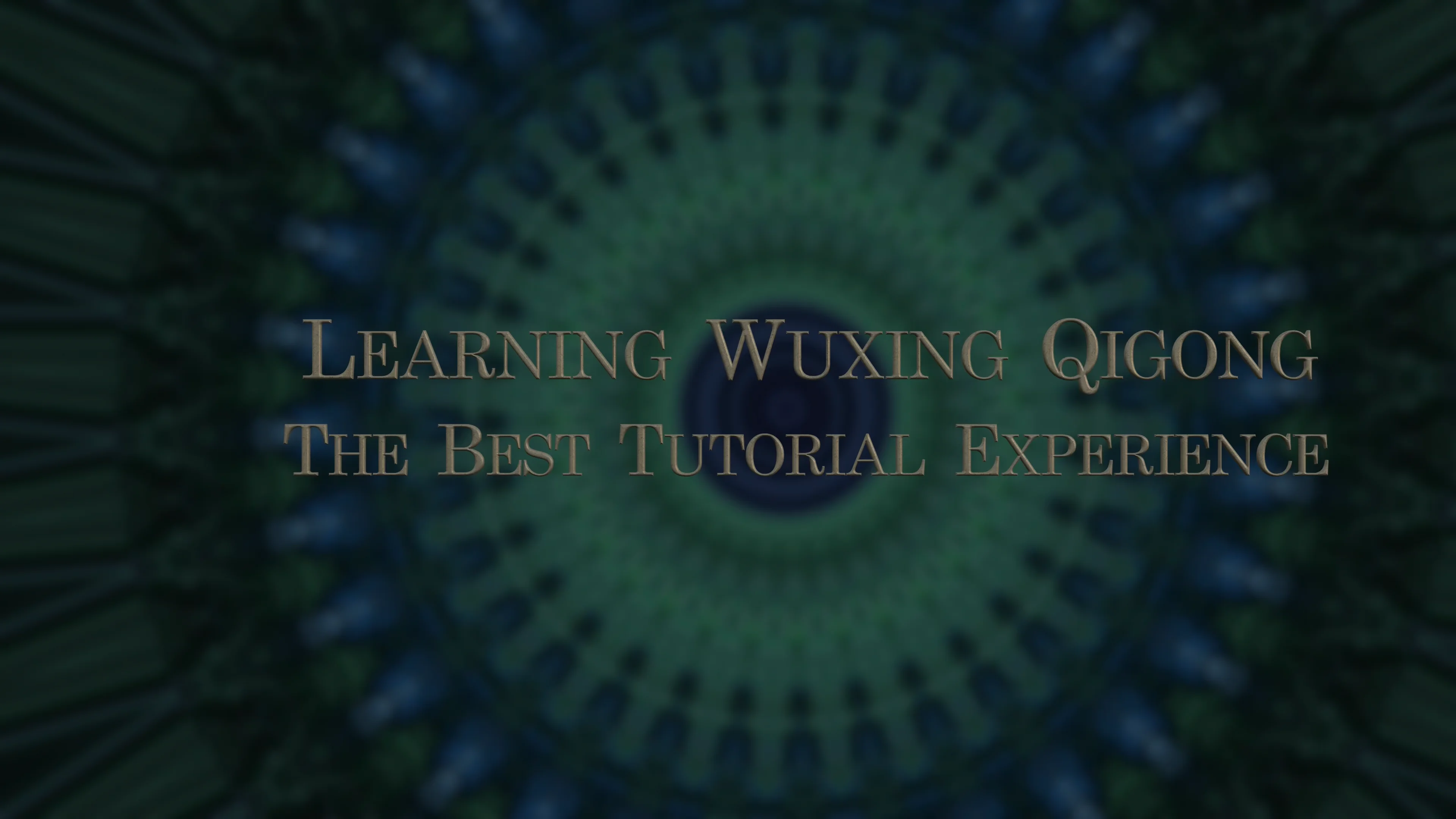 Watch Traditional Wudang Wuxing (Five Animals) Qigong - Ultimate ...