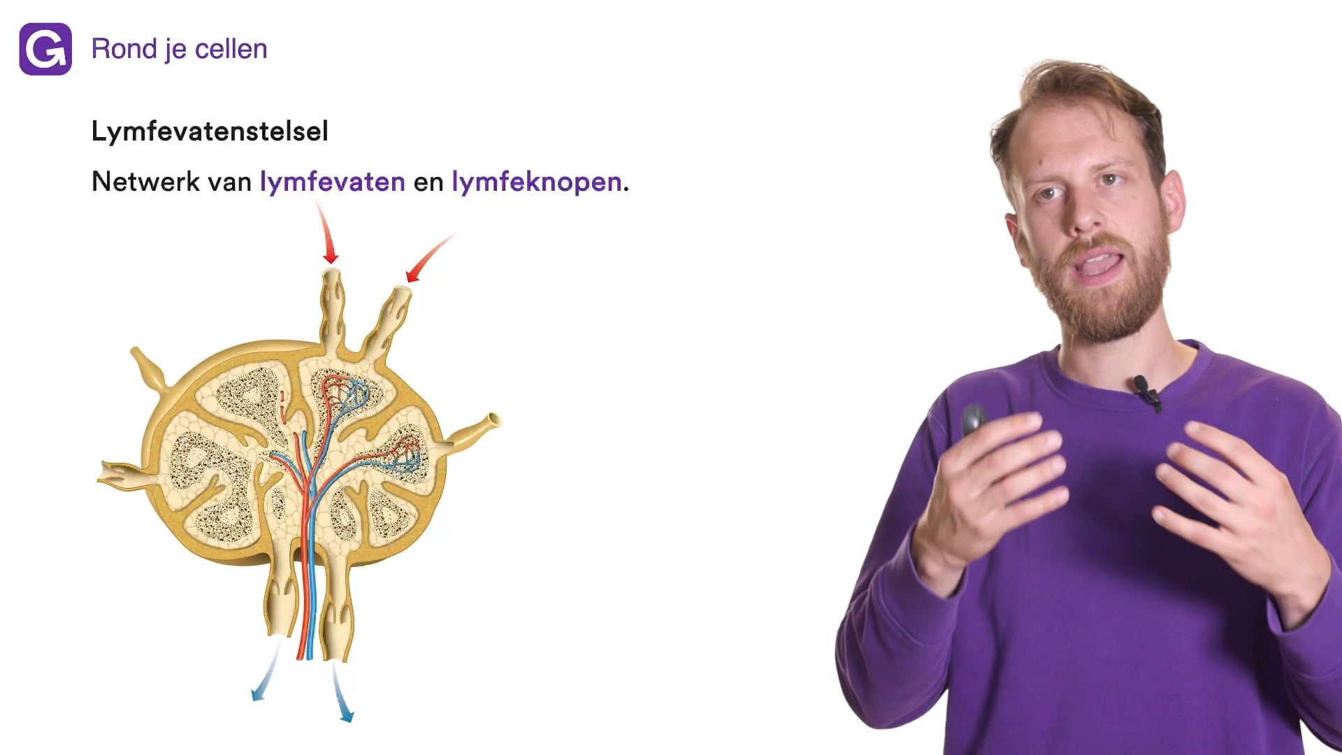 Rond je cellen oefenen | StudyGo