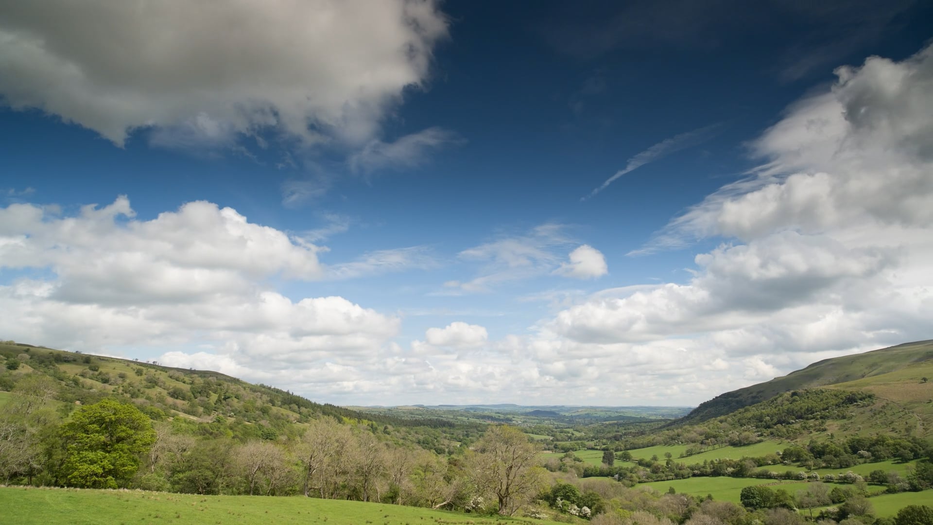 Meet the Team | Kent Training Associates