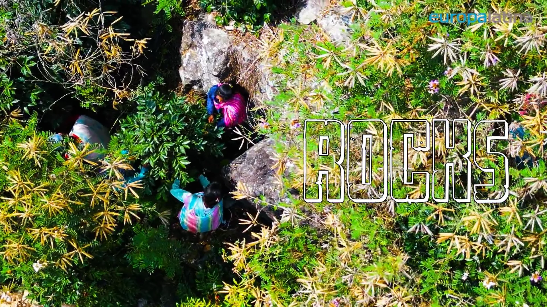 FINCA HUGO PAREJA - INKA RUMI: COFFEE ON THE ROCKS / COOP INCAHUASI on ...