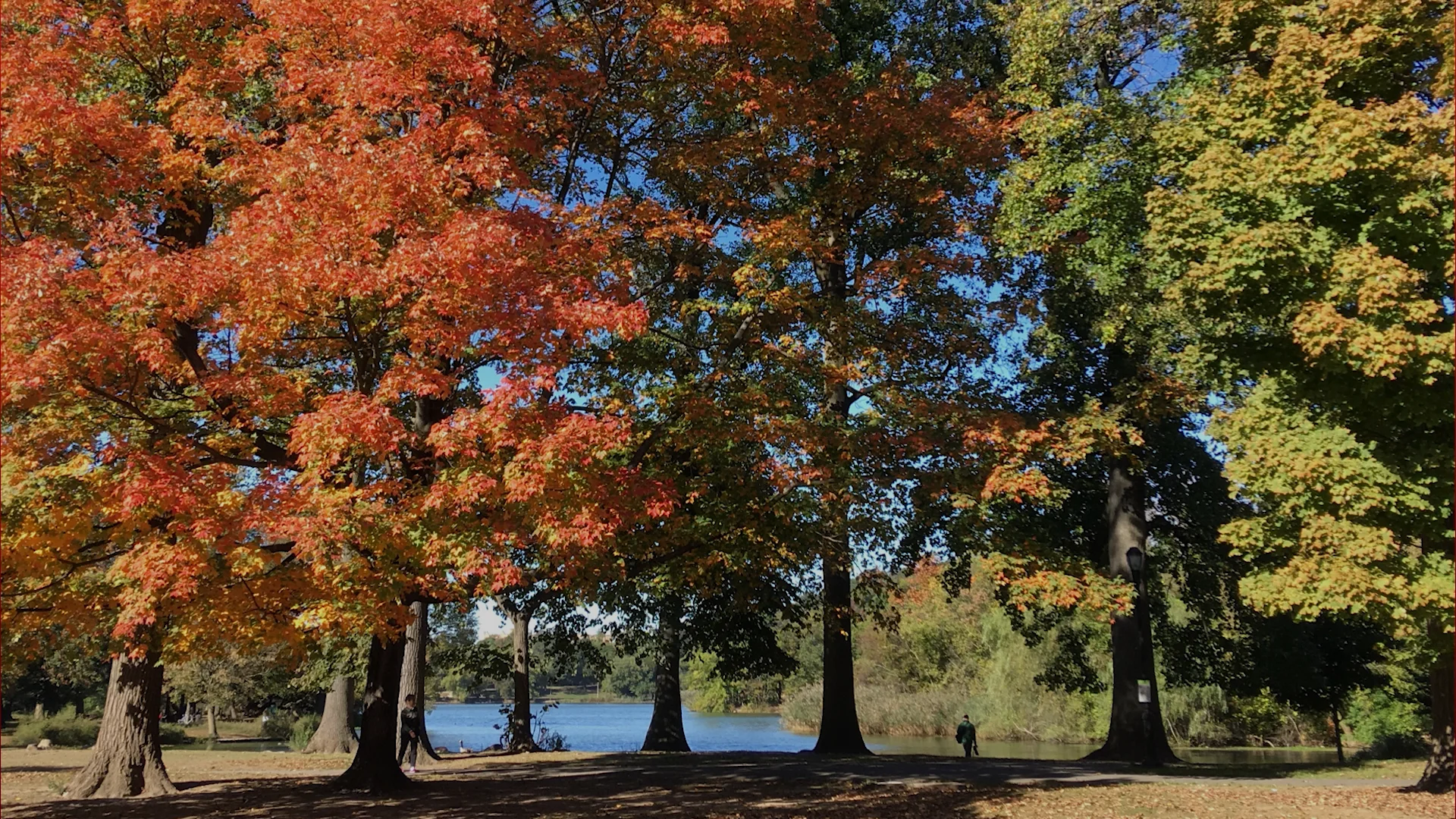 Vernon_Fall_2023 on Vimeo